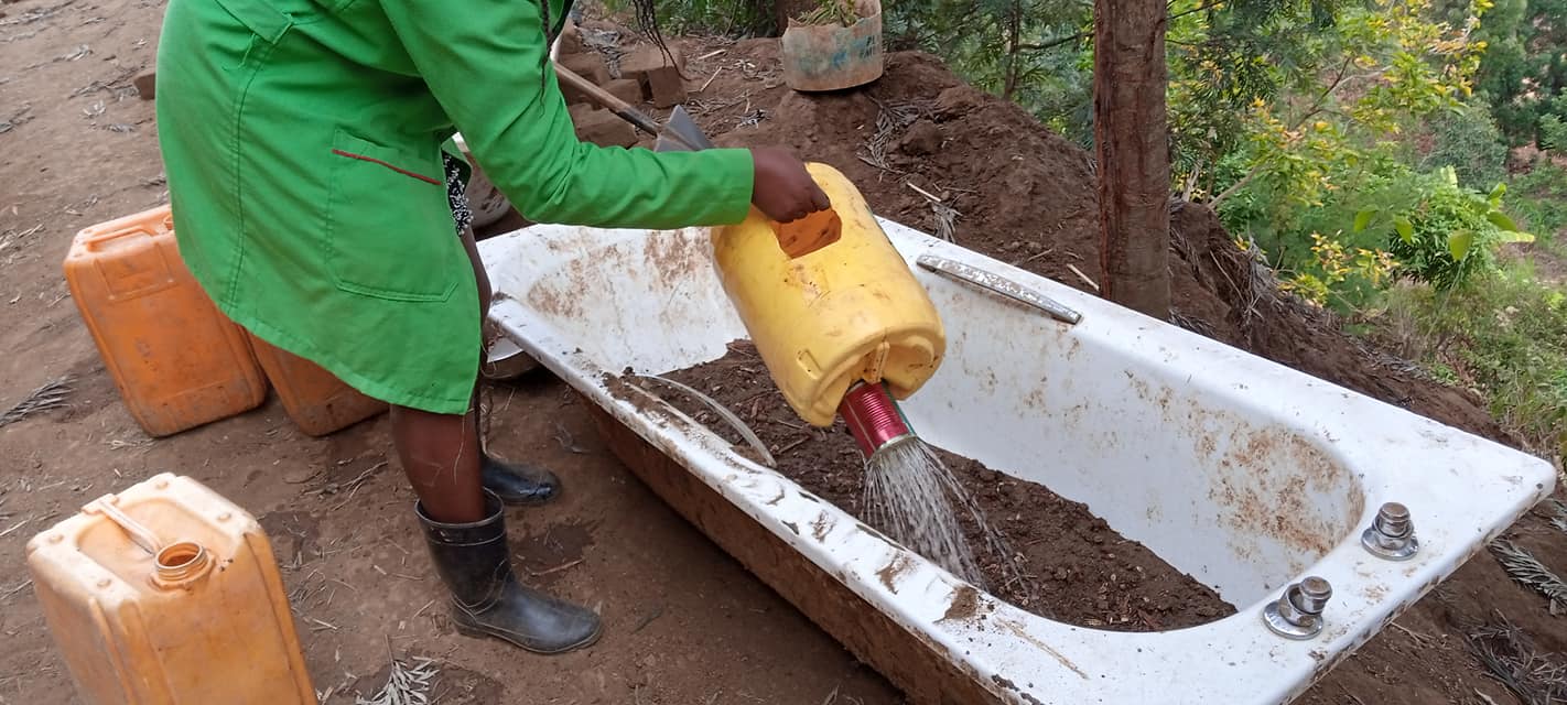 PaTree Initiative – A youth led community based organization