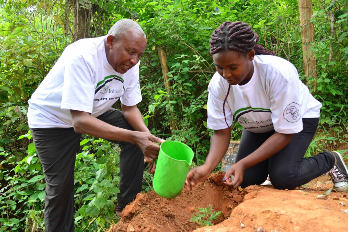 PaTree Initiative – A youth led community based organization