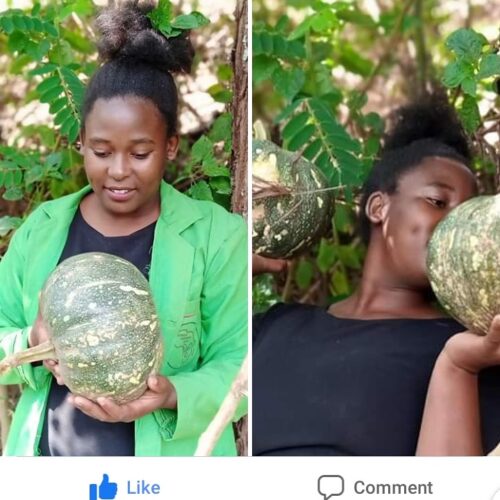 PaTree Initiative – A youth led community based organization