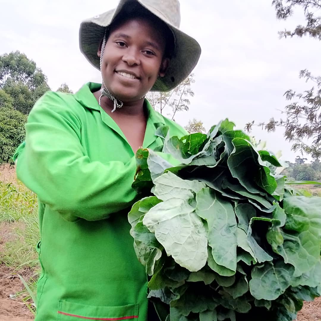About Us – PaTree Initiative