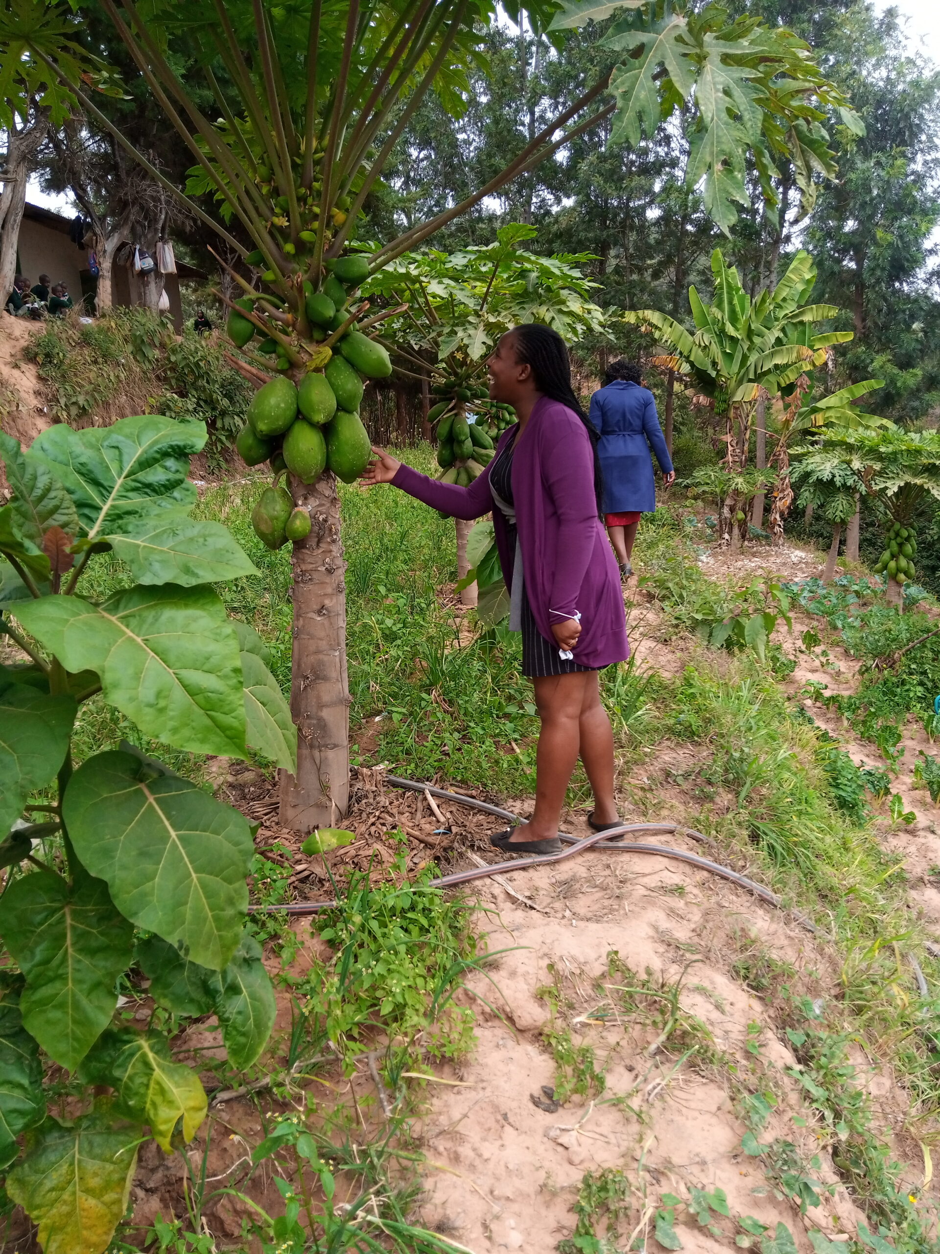 PaTree Initiative – A youth led community based organization