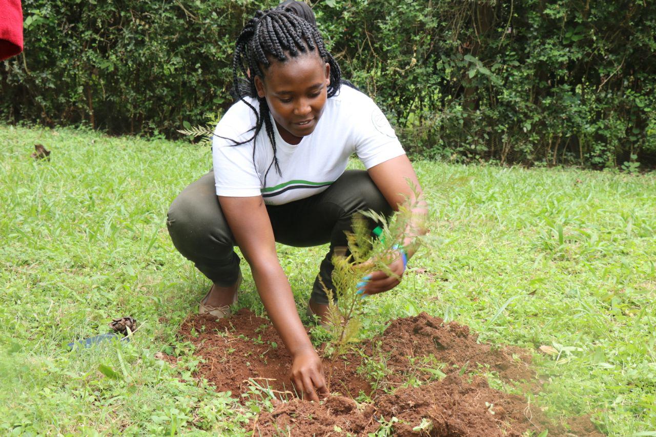 PaTree Initiative – A youth led community based organization